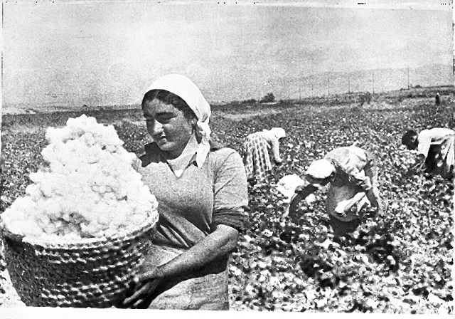 CONFERENCE: Global Cotton: Cotton as a case of precocious globalization ...
